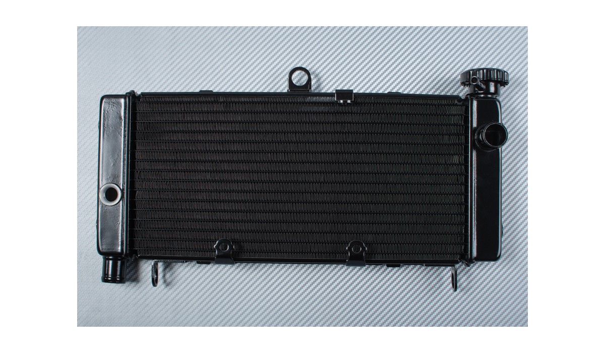 Radiator HONDA HORNET 600 / S 1998 - 2006
