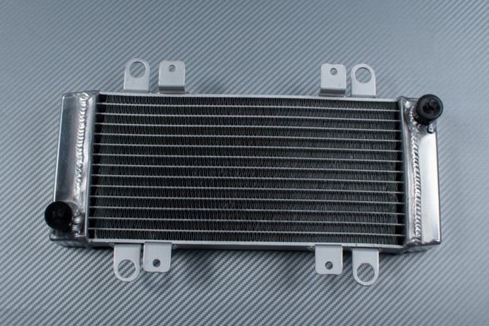Radiator KAWASAKI NINJA 250R / Z250 2008 - 2013