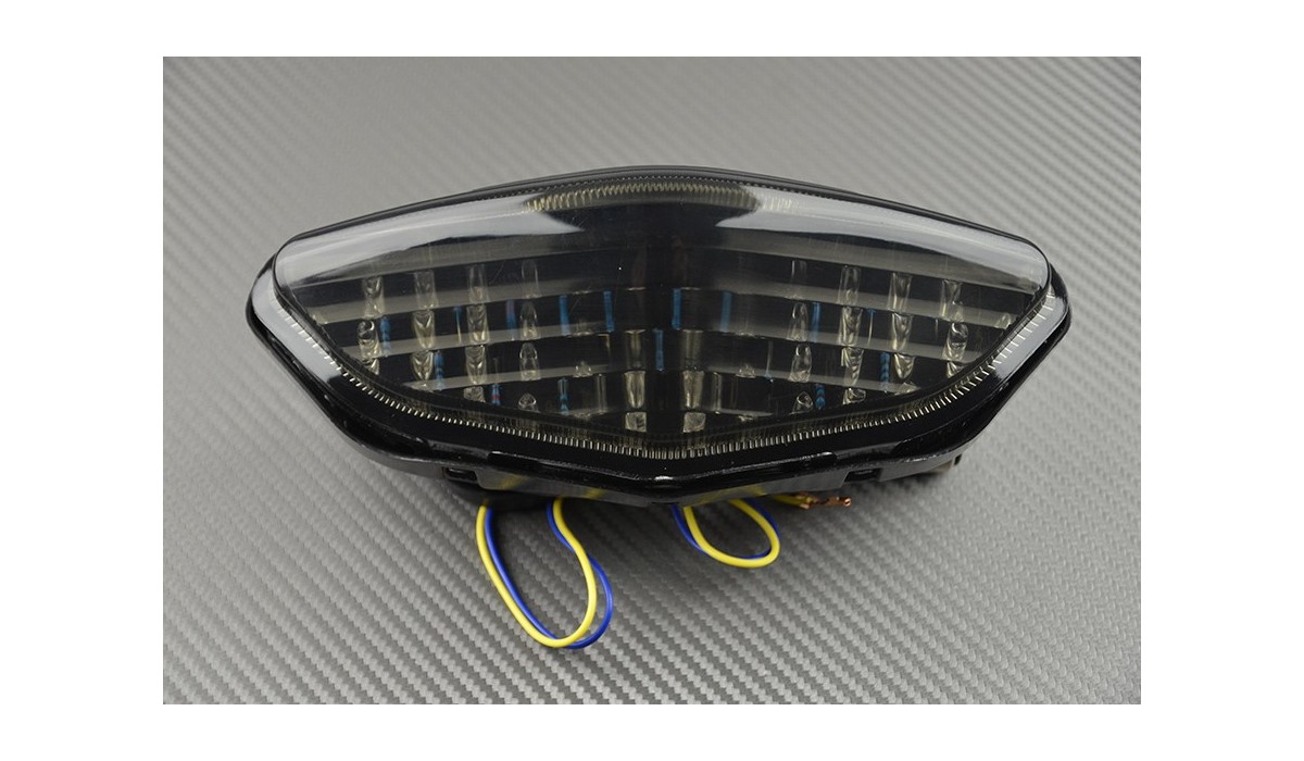 AVDB Rear LED Tail light + Turn Signals KAWASAKI KLV 1000 KLV1000 WVBS ...