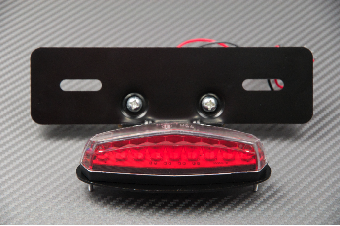 Adaptable License Plate Holder + Tail & License Plate Light