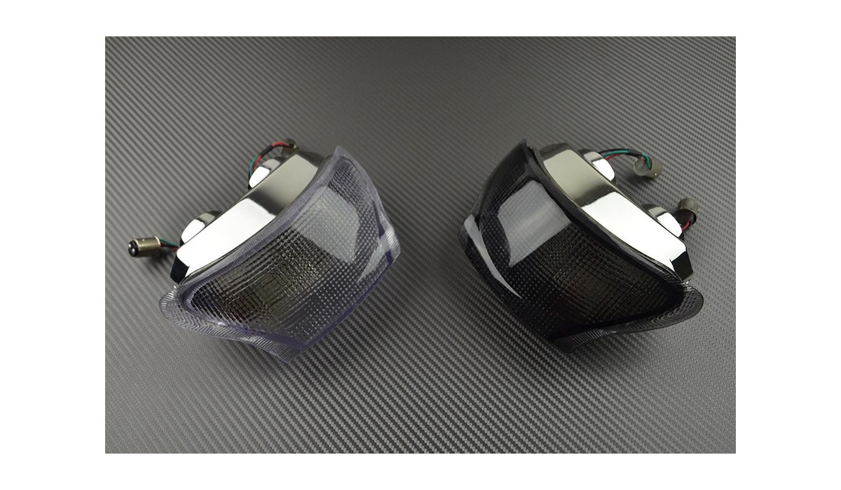 LED Taillight TRIUMPH T595 Speed Triple 995 1997 - 2004