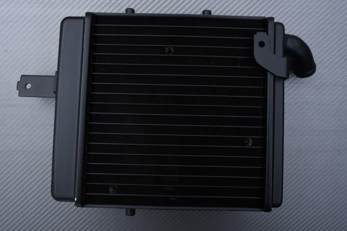 Radiators BENELLI TNT 899 / 1130 / R160 2004 - 2016