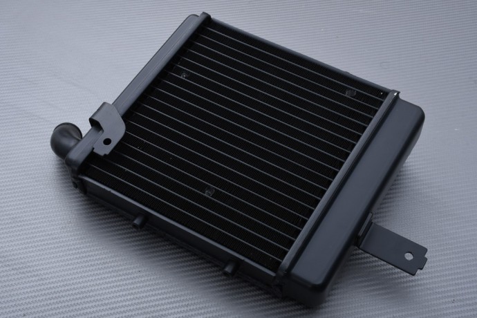 Radiators BENELLI TNT 899 / 1130 / R160 2004 - 2016