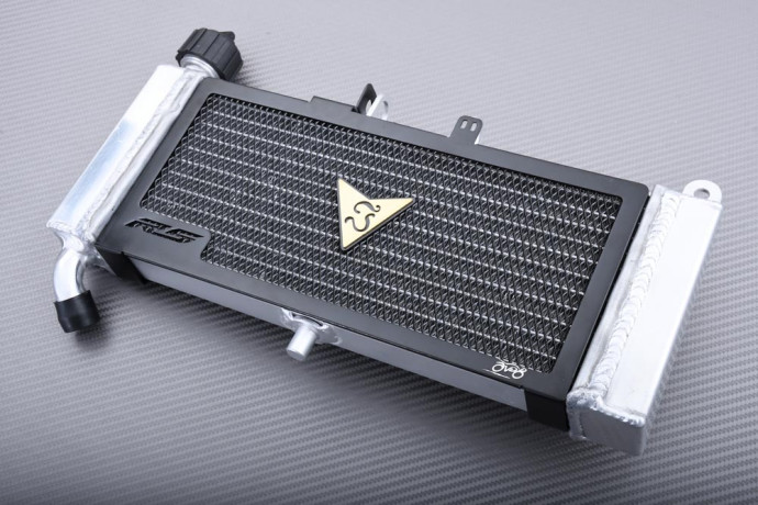 Radiatore APRILIA TUONO / RS4 / DERBI GPR 50 125 2009 - 2024