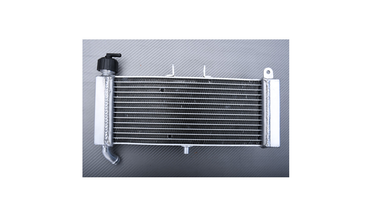 Radiator APRILIA TUONO / RS / RS4 50 / 125 / DERBI GPR 50 2009 - 2025