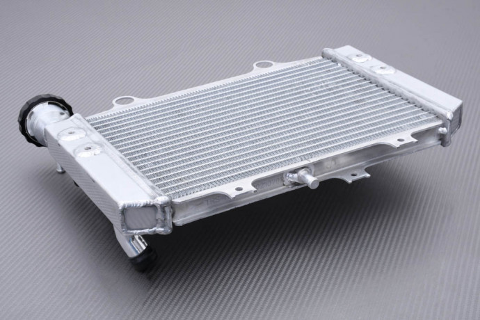 Radiator BMW G310R / G310GS 2021 - 2024