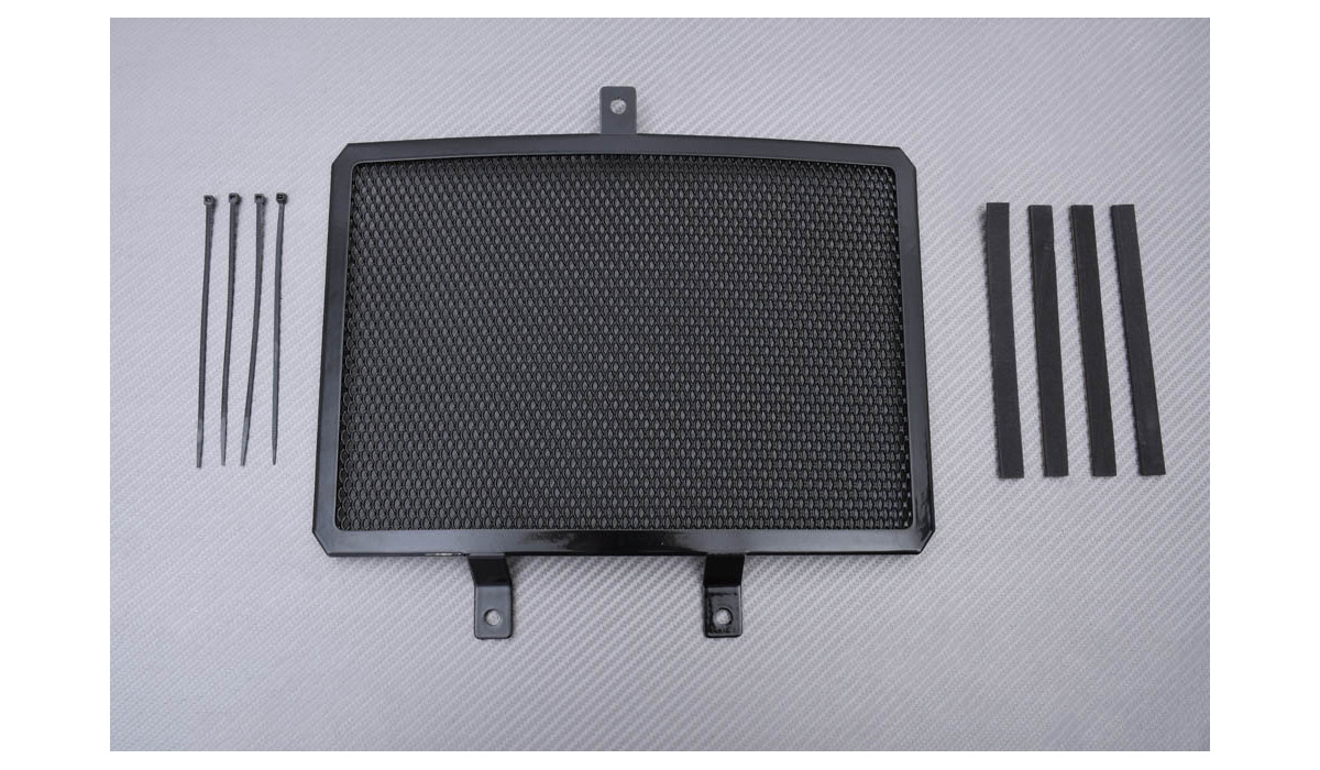 Radiator Grill Cover HARLEY DAVIDSON PAN AMERICA 1250 / CVO / SPECIAL ...