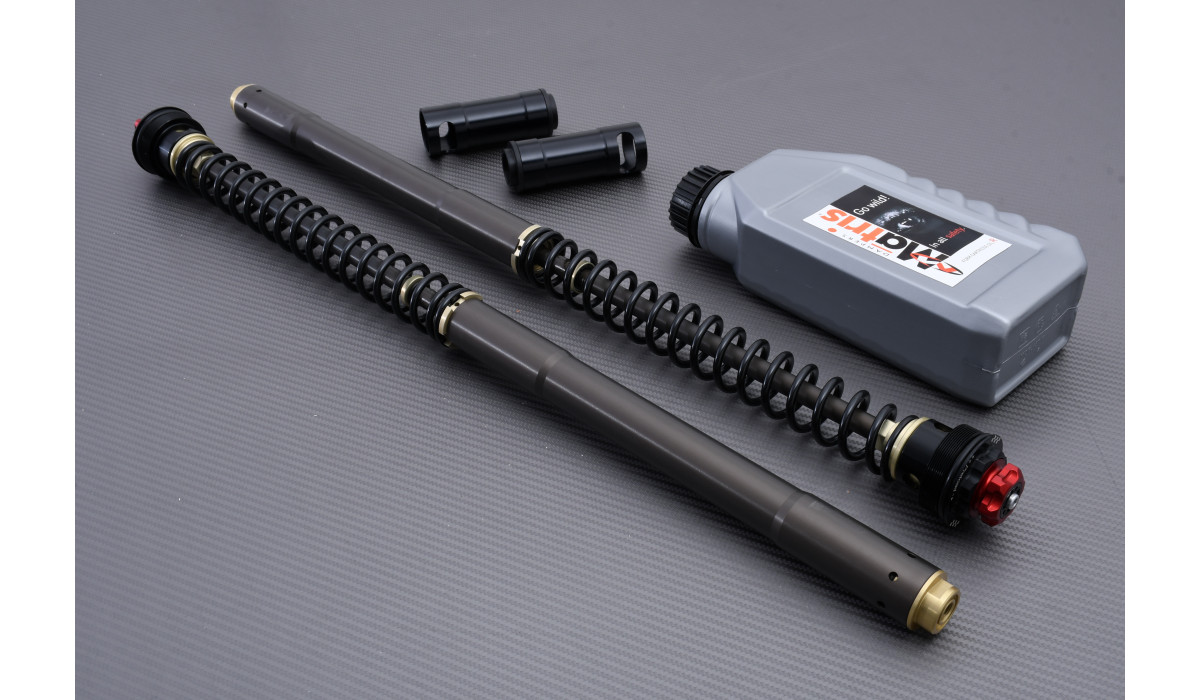 Kit forcella Performance MATRIS F12R KAWASAKI ZX10R 2006 - 2007 REF ...