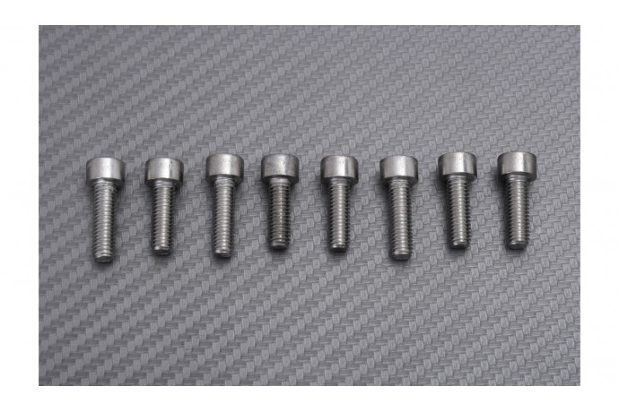 FACTORY PRO aluminium ignition crankcase cover with protective pad for ...