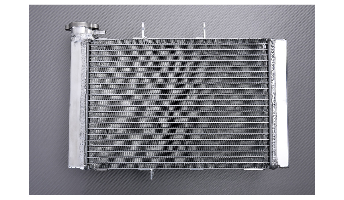 Radiator TRIUMPH TRIDENT / TIGER SPORT 660 2021 - 2024