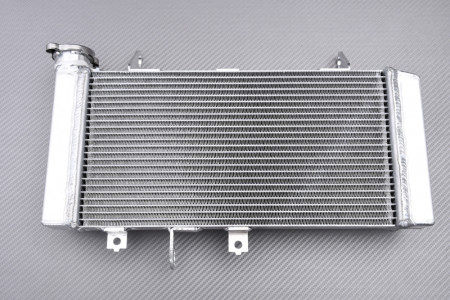 Radiator SUZUKI SV / SVX 650 2016 - 2025