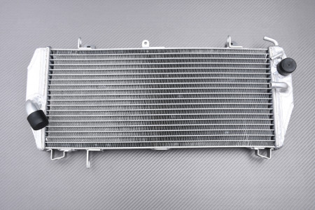 Radiator APRILIA TUAREG 660 2022 - 2025