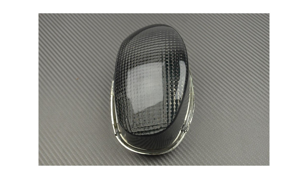 LED Taillight with Integrated turn signals TRIUMPH TT600 / Speed Four ...