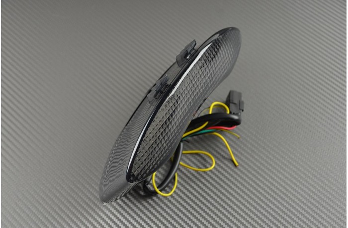 LED Taillight with Integrated turn signals TRIUMPH DAYTONA 675 / SPEED ...